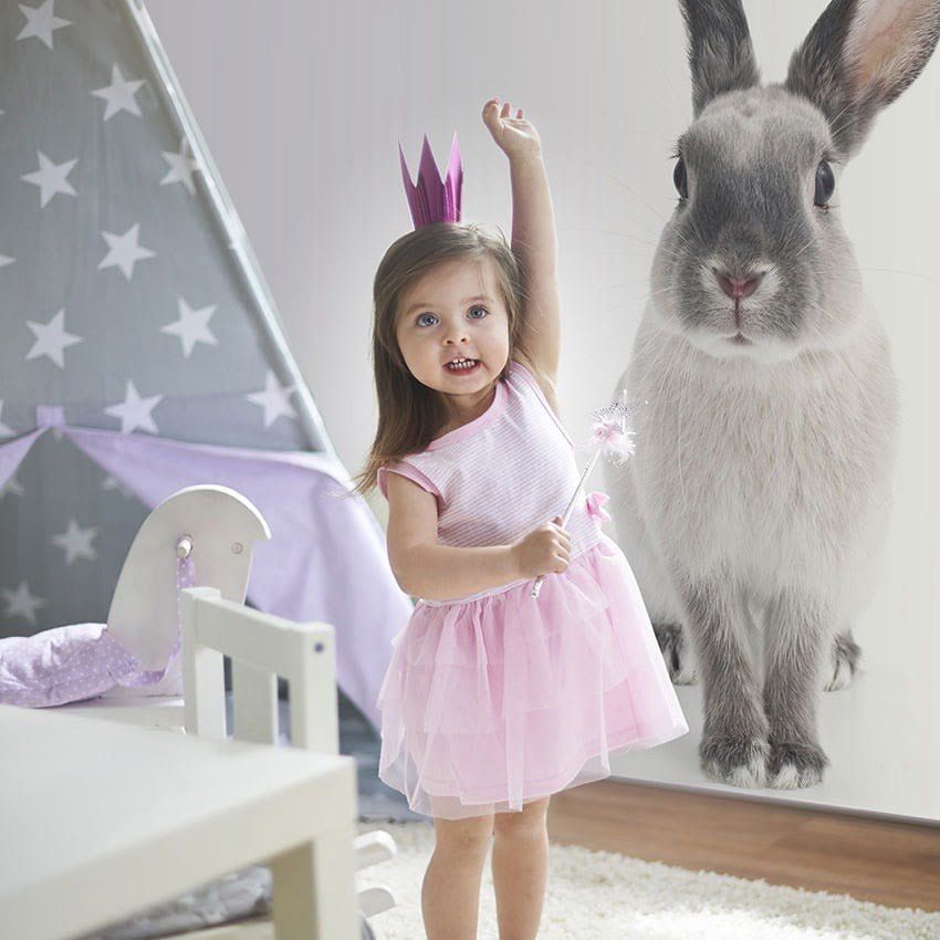 Harry The Rabbit Wallsticker – dekornik.com wallstickers and wallpapers ...